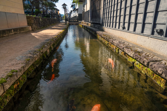 Discover the magical transformation of Hida Furukawa - Hida City