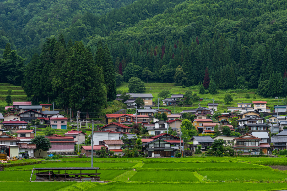 Discover the magical transformation of Hida Furukawa - Hida City