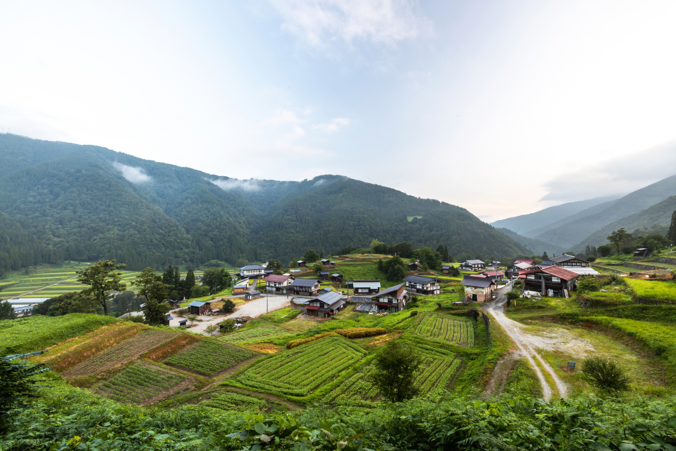 A Cut Above: Getting to Know Hida Beef - Hida City