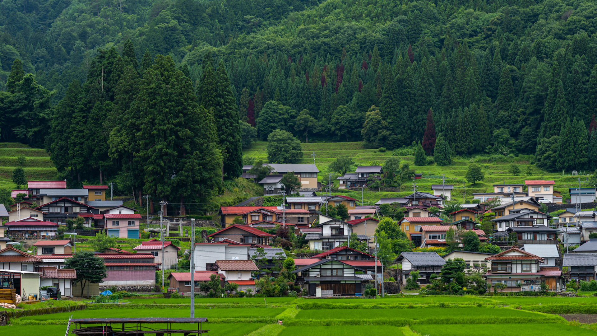 Instagrammable Hida - Hida City