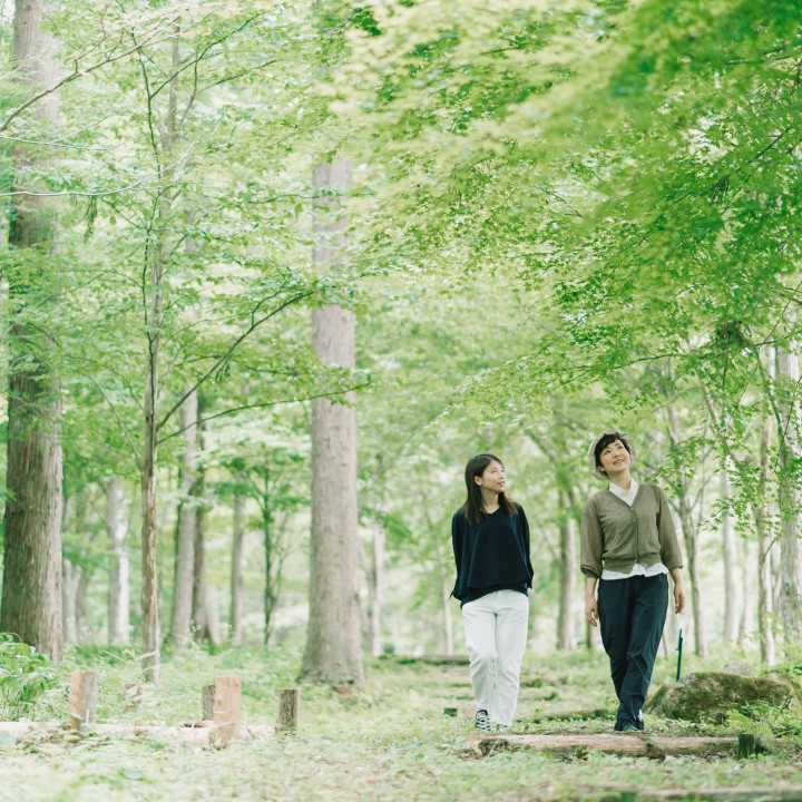 Nature - Hida City
