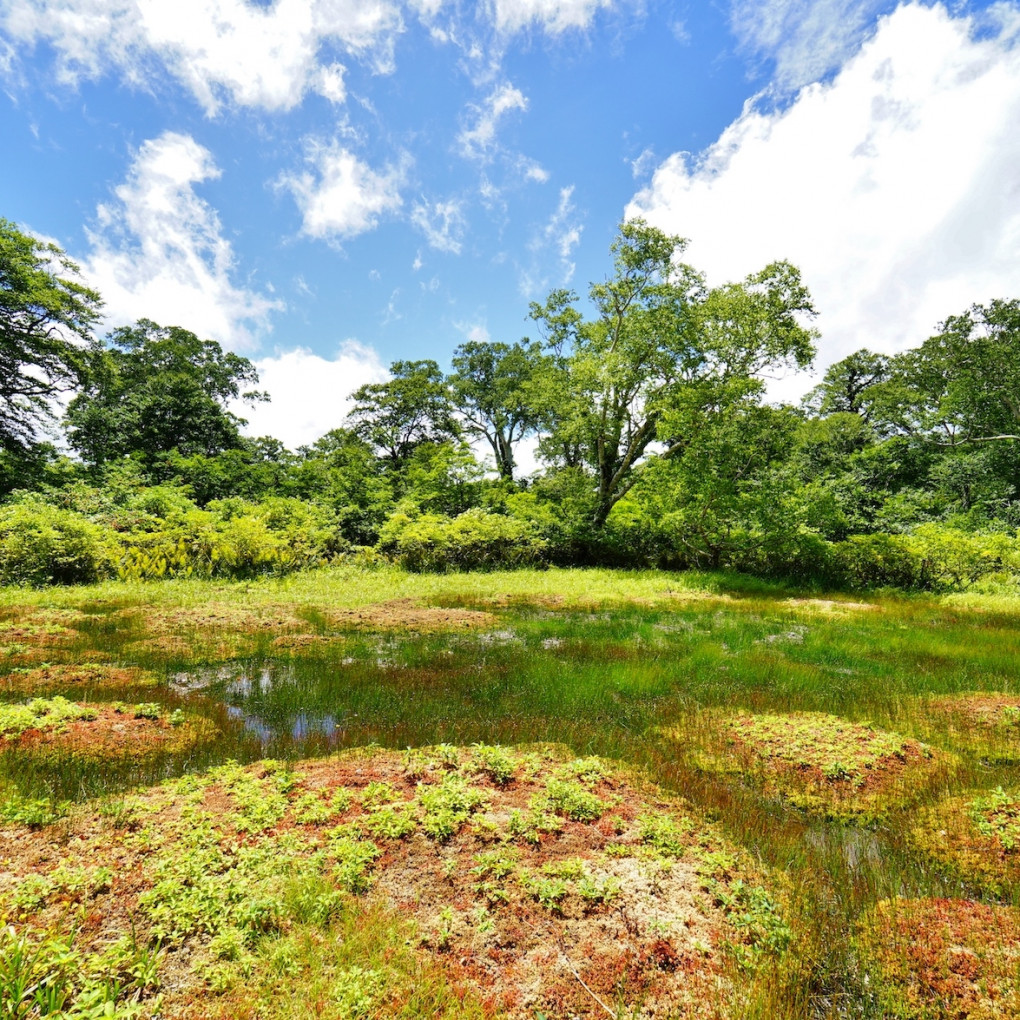 Official Hida Travel Guide - Hida City