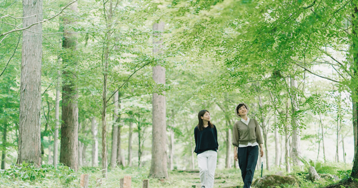 Asagiri Forest - Hida City